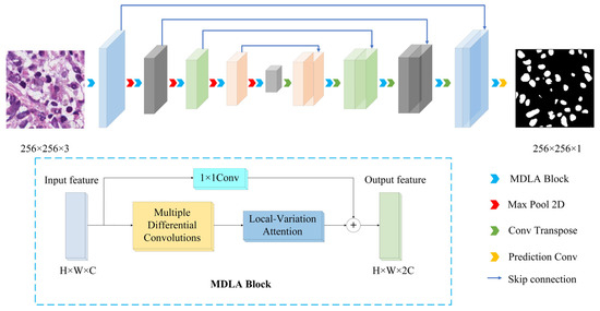 Multiple Differential Convolution and Local-Variation Attention UNet ...