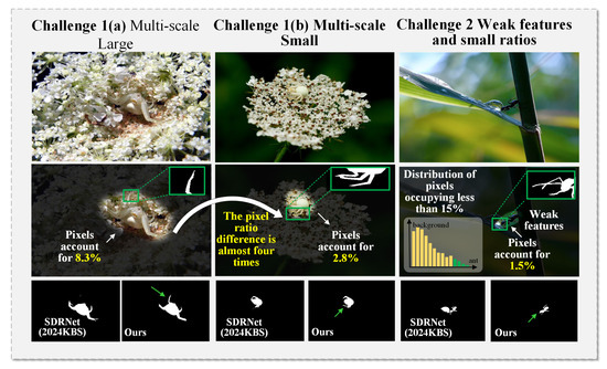 Camouflaged Object Detection with Enhanced Small-Structure Awareness in Complex Backgrounds