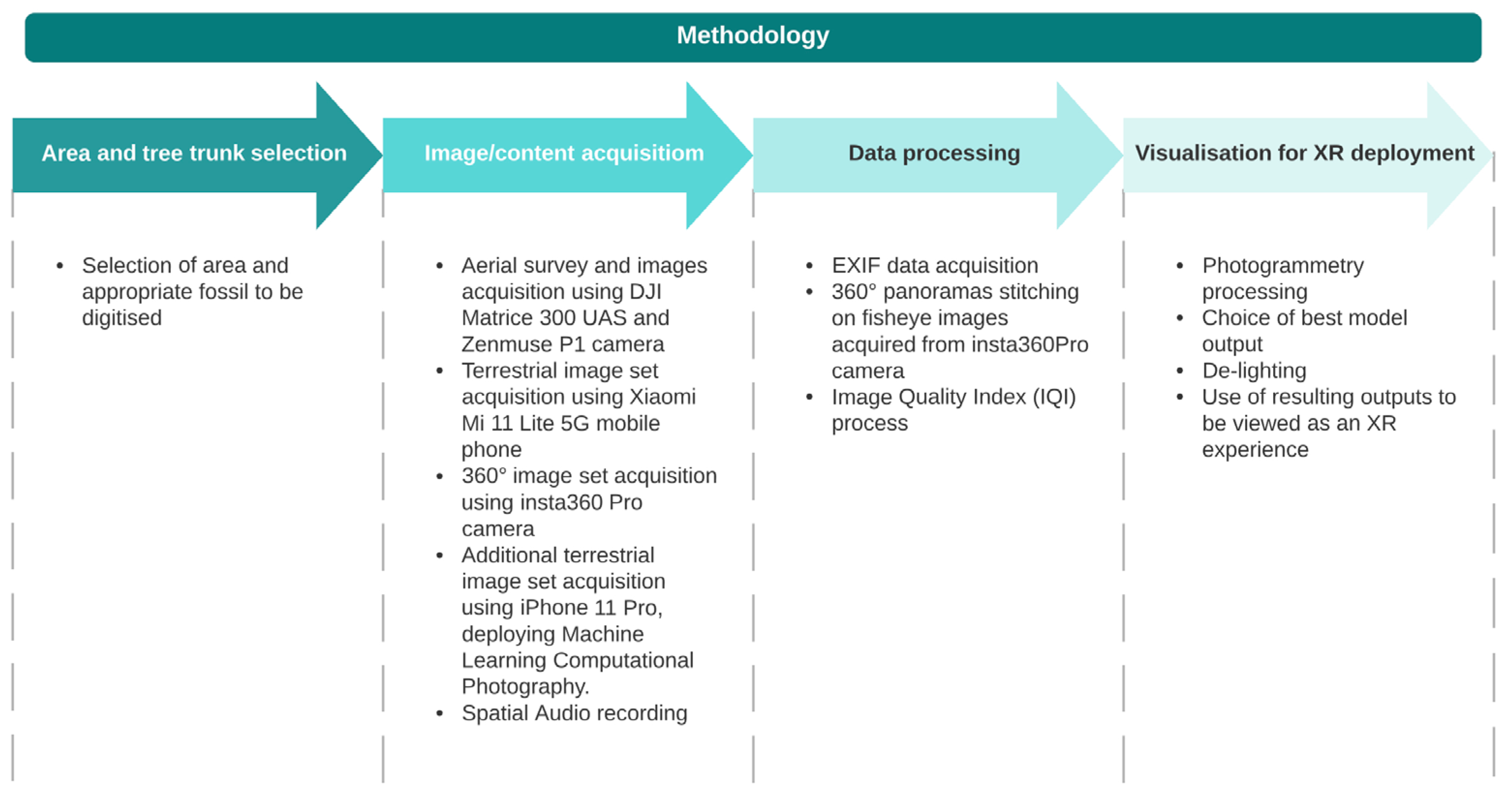 Visualisation of Fossilised Tree Trunks for XR, Using Geospatial Digitisation Techniques Derived ...