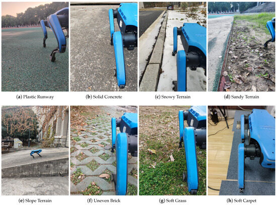 A Terrain Classification Method for Quadruped Robots with Proprioception