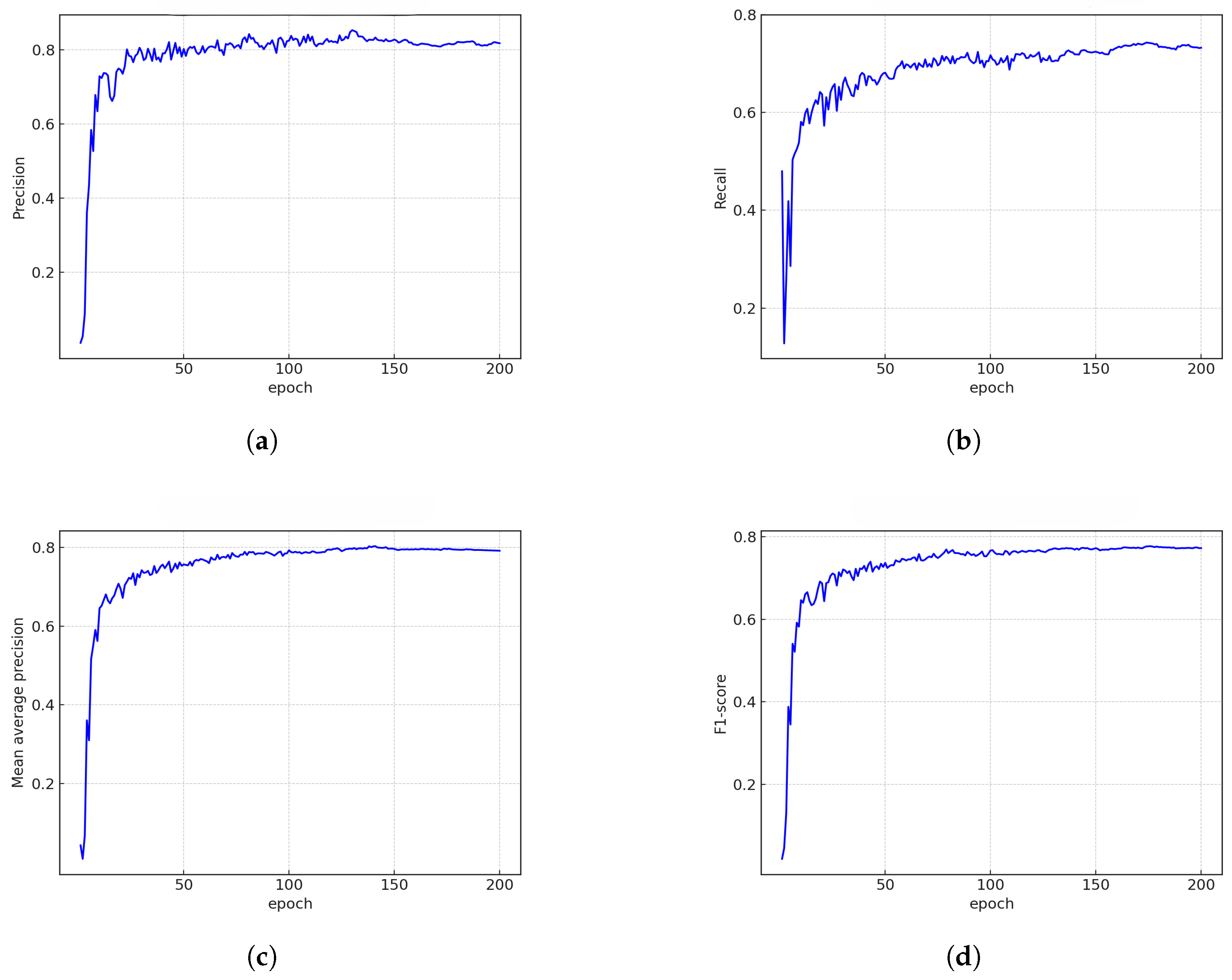 Improved Lightweight YOLOv11 Algorithm for Real-Time Forest Fire Detection