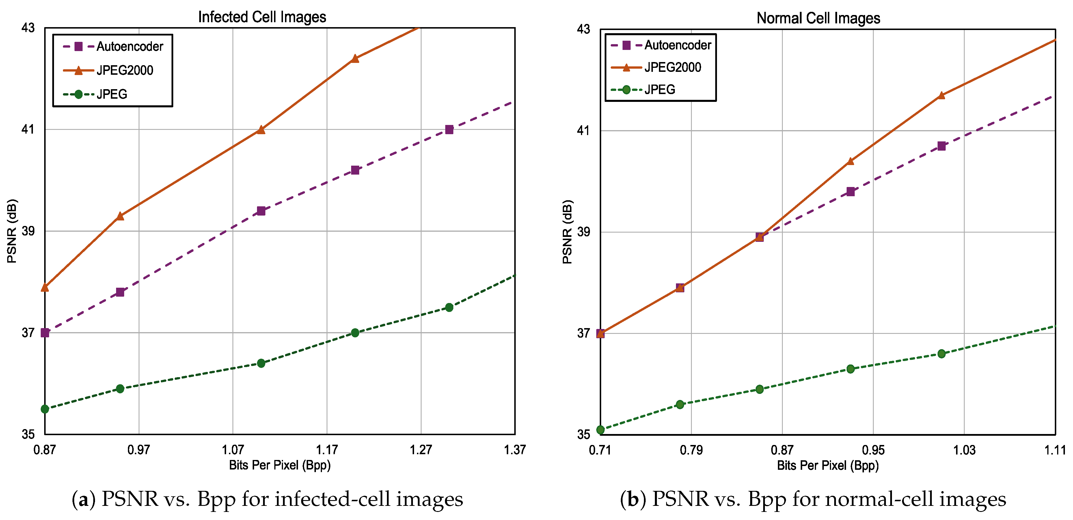 Efficient Compression of Red Blood Cell Image Dataset Using Joint Deep Learning-Based Pattern ...