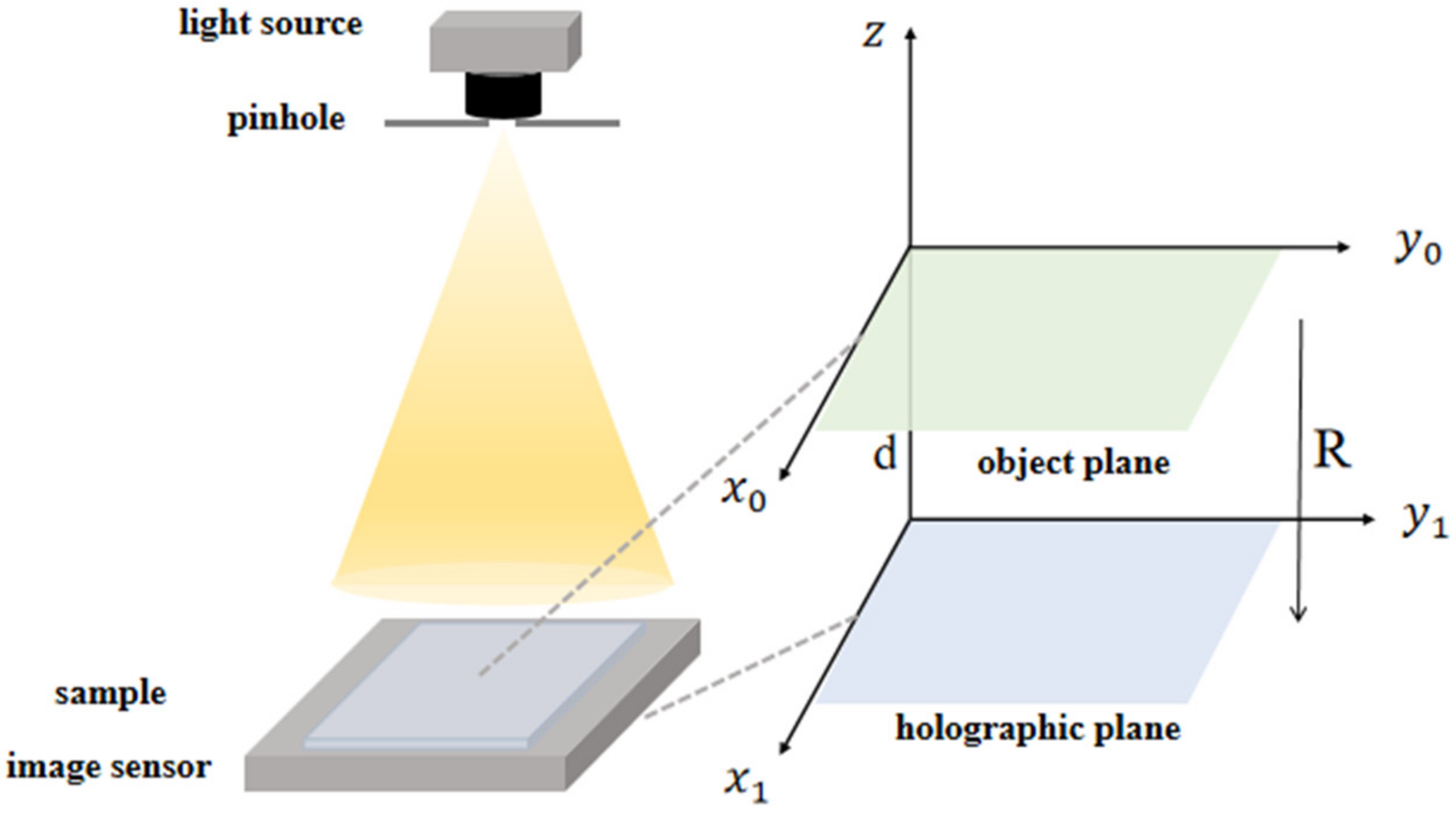Lensless Digital Holographic Reconstruction Based on the Deep Unfolding Iterative Shrinkage ...