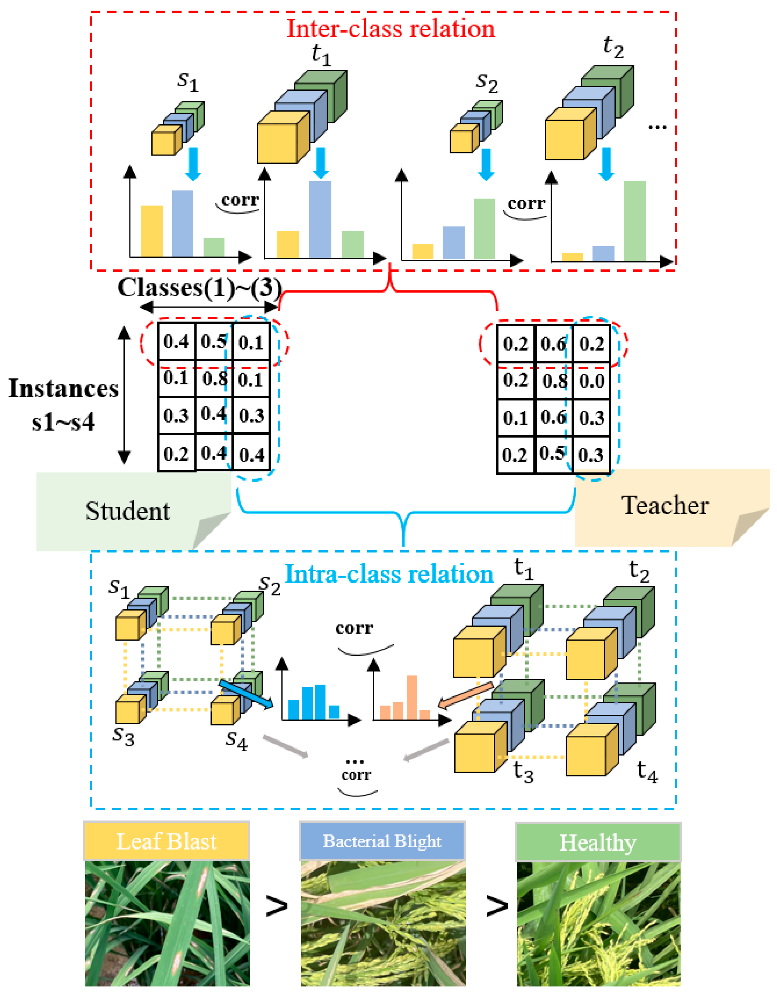 FPGA-Based Low-Power High-Performance CNN Accelerator Integrating DIST for Rice Leaf Disease ...