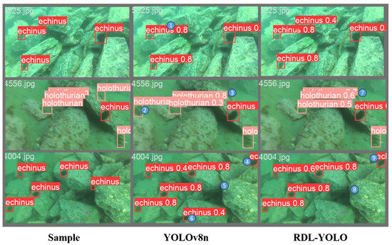 Lightweight Underwater Target Detection Algorithm Based on YOLOv8n