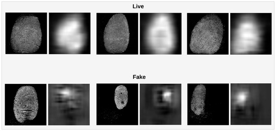 Lightweight Network for Spoof Fingerprint Detection by Attention-Aggregated Receptive Field-Wise ...