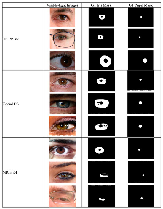 Adapting SAM for Visible-Light Pupil Segmentation Baseline