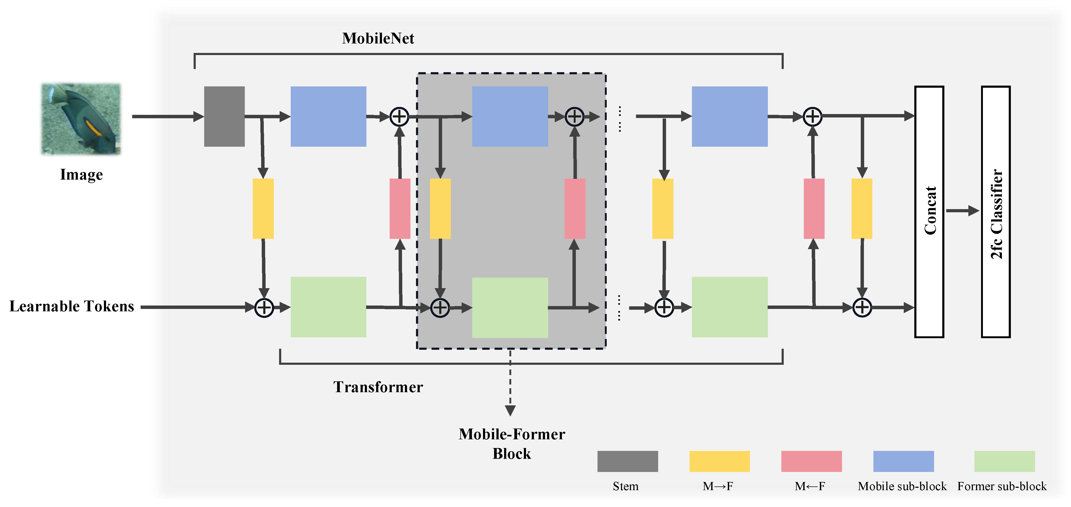 Mitigating Class Imbalance Challenges in Fish Taxonomy: Quantifying Performance Gains Using ...