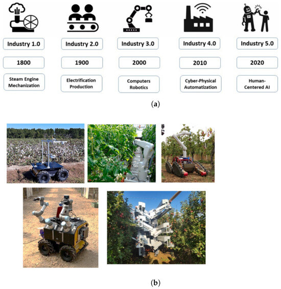Smart Precision Weeding in Agriculture Using 5IR Technologies