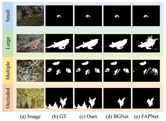 Boundary-Aware Camouflaged Object Detection via Spatial-Frequency Domain Supervision