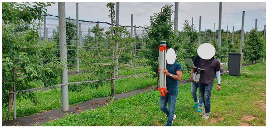 Detection of Trees and Objects in Apple Orchard from LiDAR Point Cloud Data Using a YOLOv5 Framework