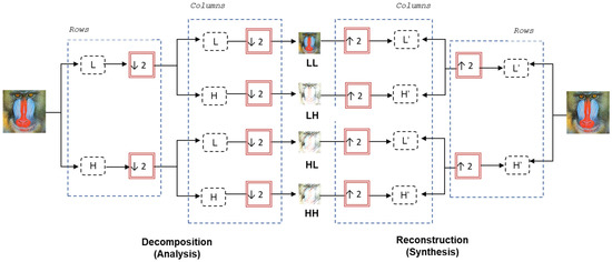 Wavelet-Based Fusion for Image Steganography Using Deep Convolutional Neural Networks