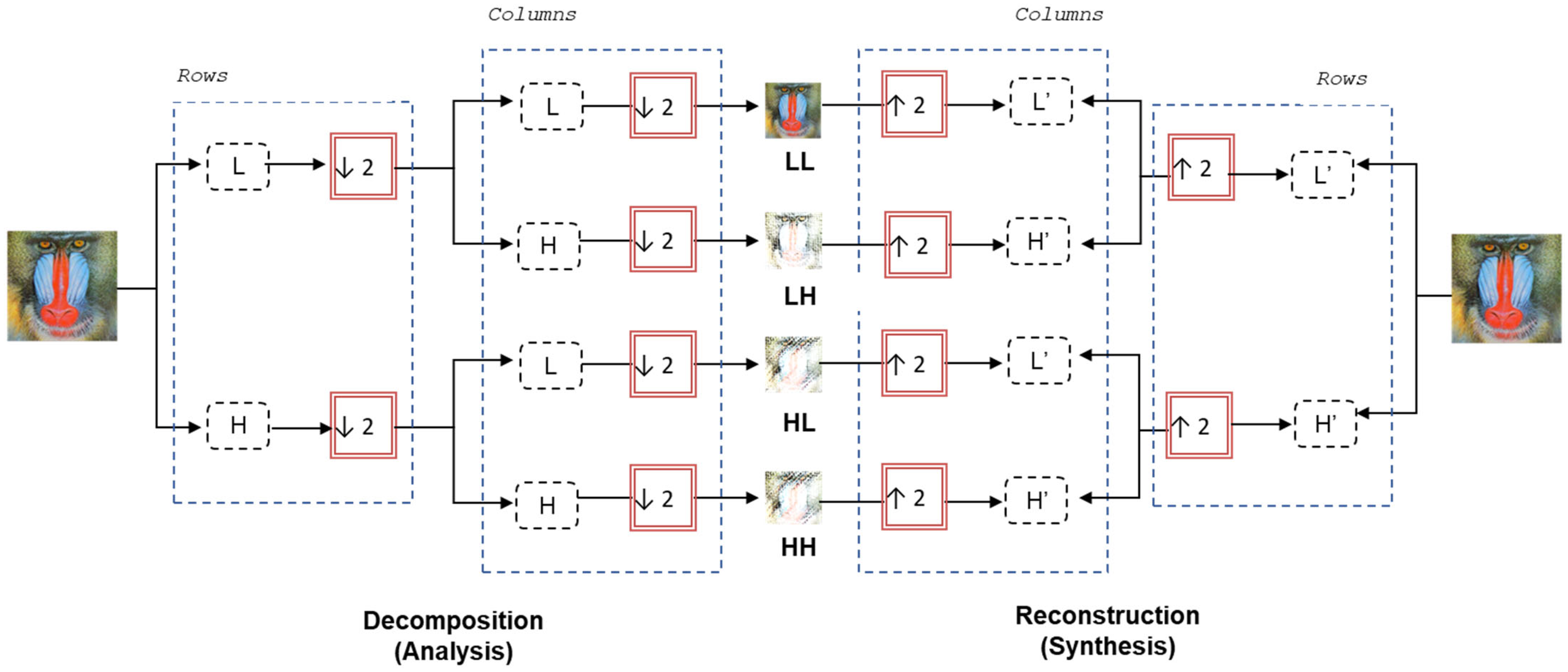 Wavelet-Based Fusion for Image Steganography Using Deep Convolutional Neural Networks
