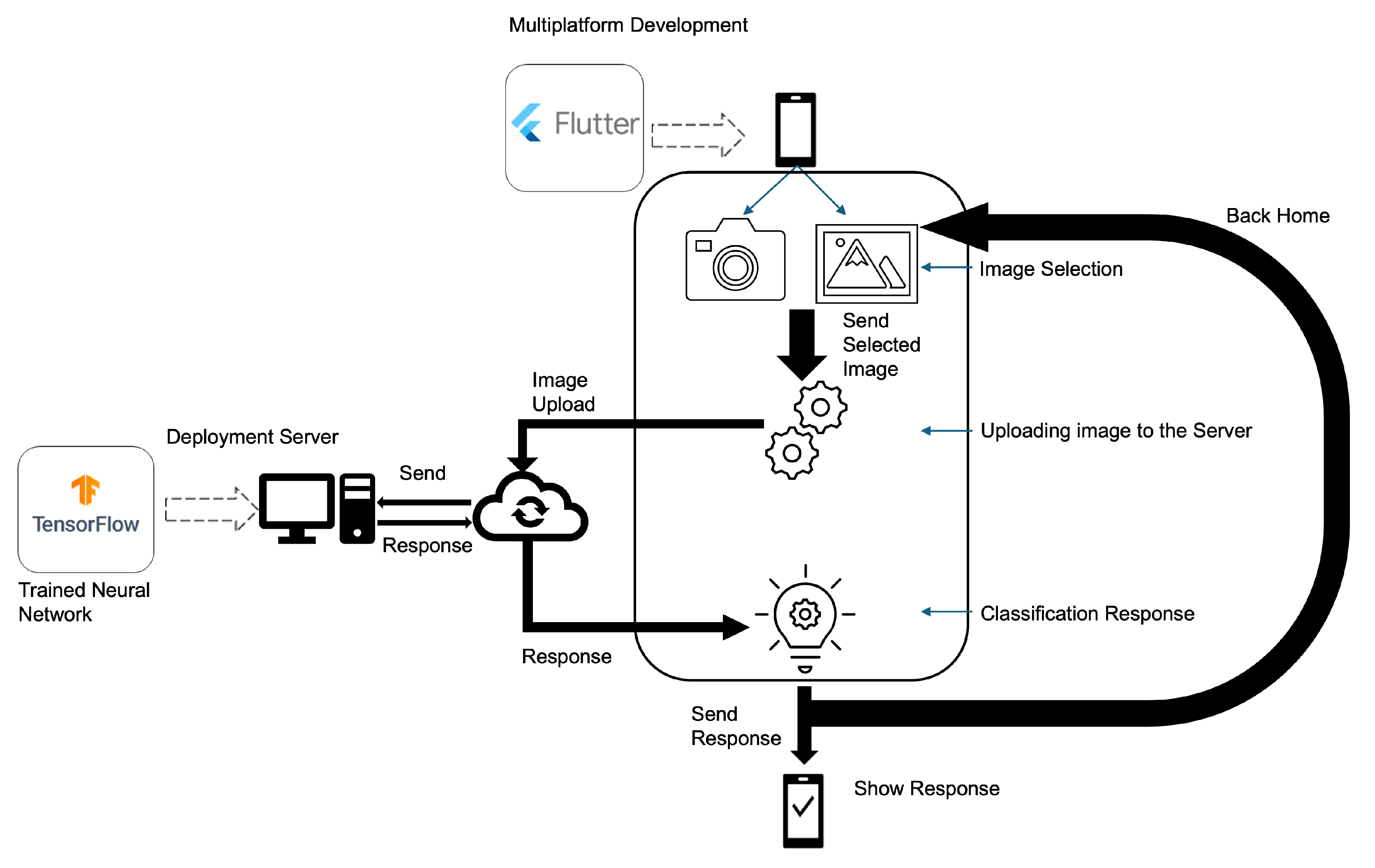 Deep Learning Approaches for Skin Lesion Detection