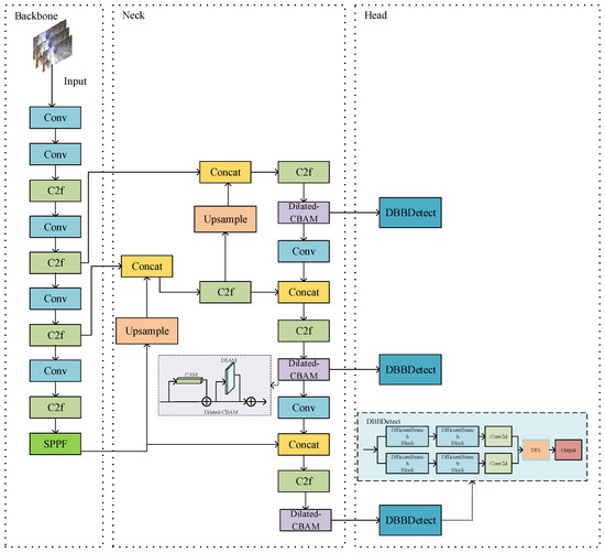 Enhancing Mine Safety with YOLOv8-DBDC: Real-Time PPE Detection for Miners