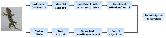 Advances in Gecko-Inspired Climbing Robots: From Biology to Robotics—A Review