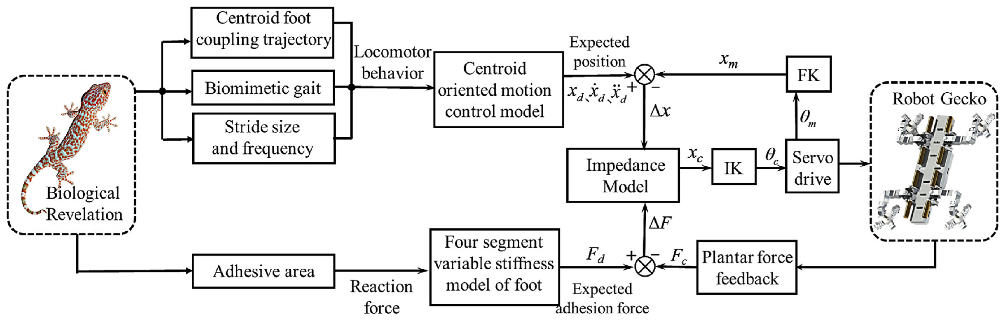 Advances in Gecko-Inspired Climbing Robots: From Biology to Robotics—A ...