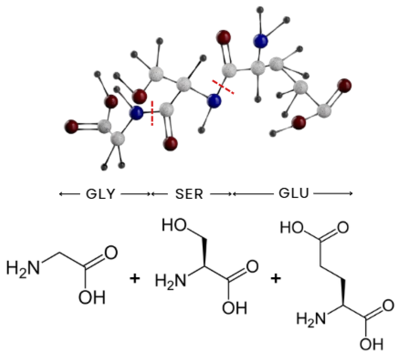 QMProt: A Comprehensive Dataset of Quantum Properties for Proteins