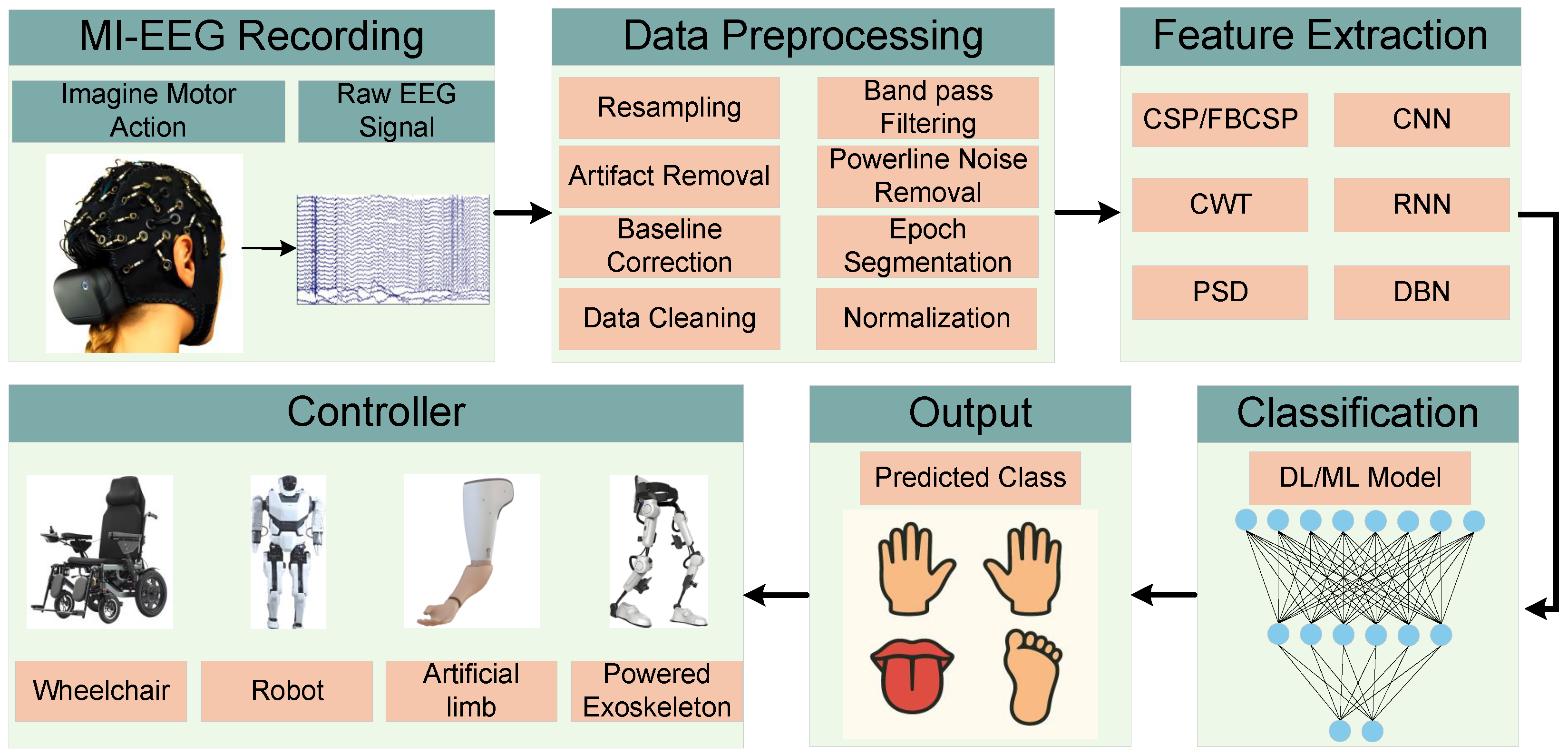 Dual-Branch Spatio-Temporal-Frequency Fusion Convolutional Network with Transformer for EEG ...