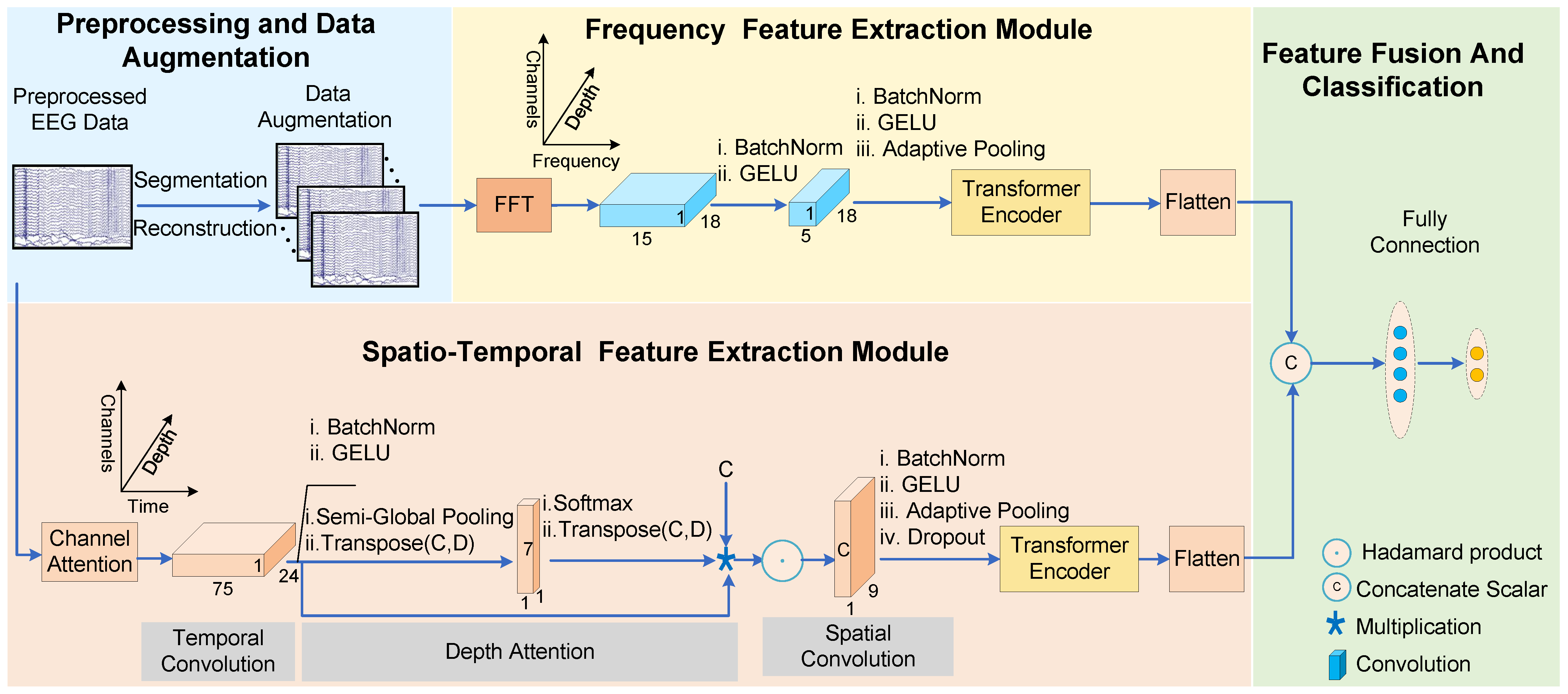 Dual-Branch Spatio-Temporal-Frequency Fusion Convolutional Network with Transformer for EEG ...