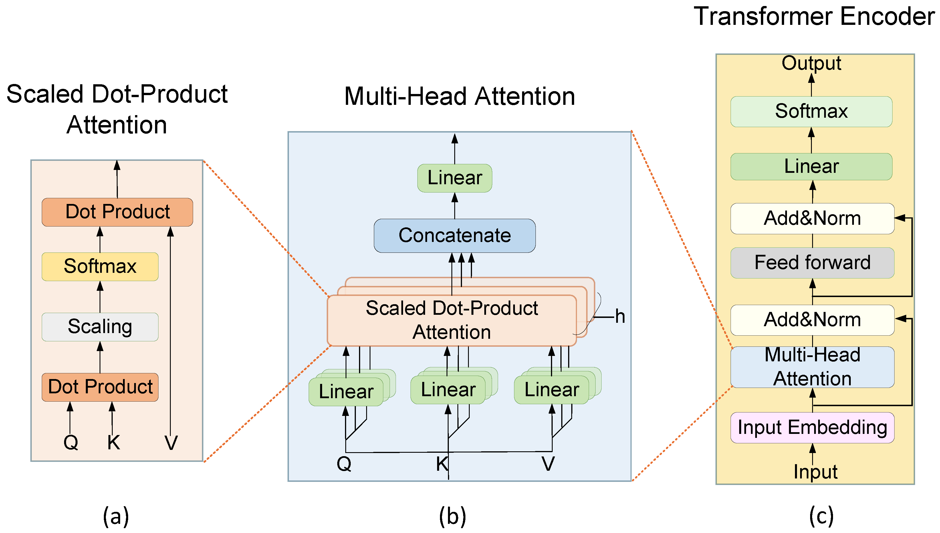 Dual-Branch Spatio-Temporal-Frequency Fusion Convolutional Network with Transformer for EEG ...