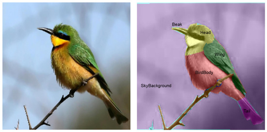 Beyond Local Explanations: A Framework for Global Concept-Based Interpretation in Image ...