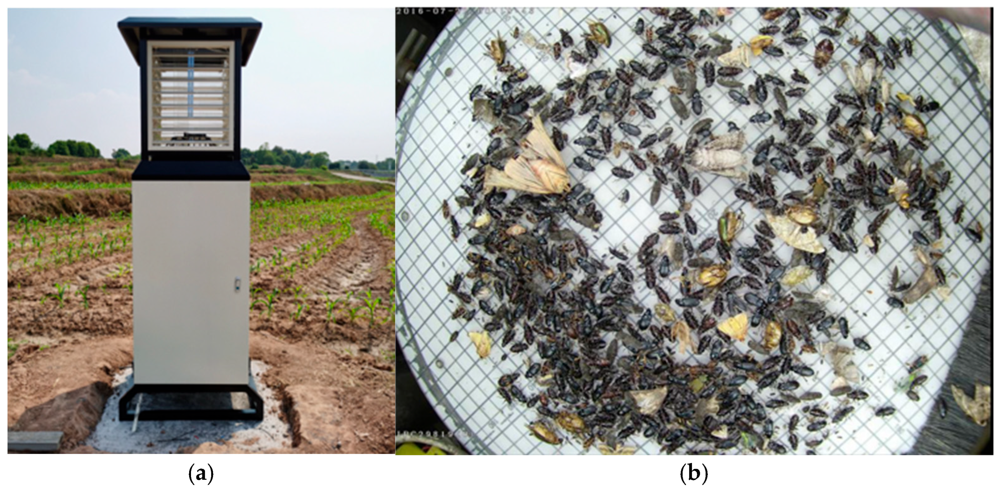 A Novel Water-Flow Live-Insect Monitoring Device for Measuring the ...