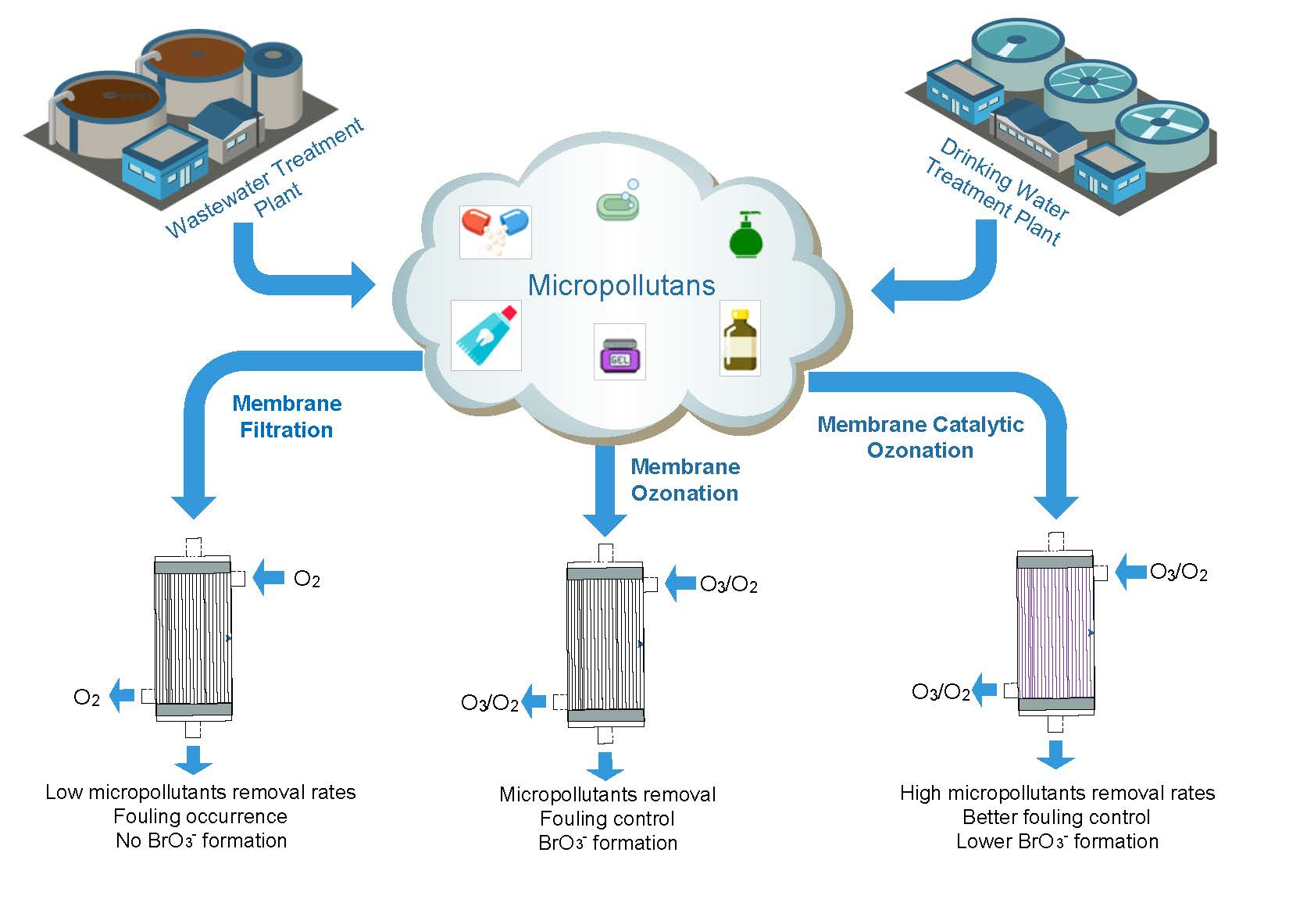 Encyclopedia | Free Full-Text | Catalytic Membrane Ozonation