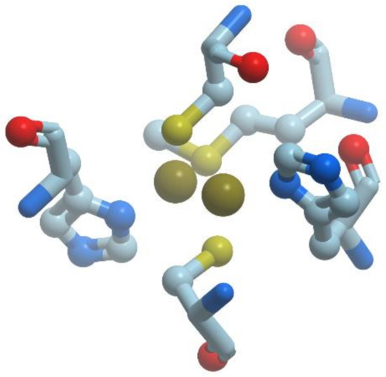 Metal Binding Proteins