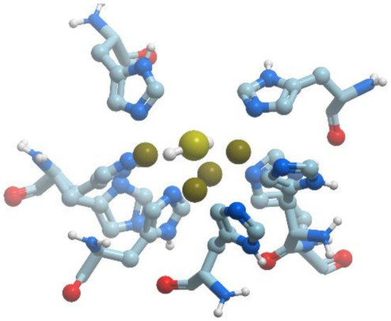 Encyclopedia | Free Full-Text | Metal Binding Proteins