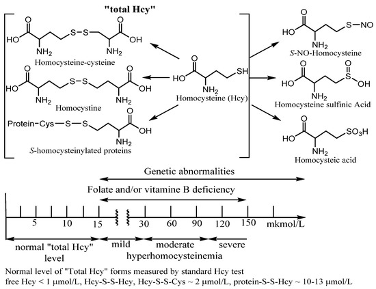 Homocysteine Thiolactone: Biology and Chemistry