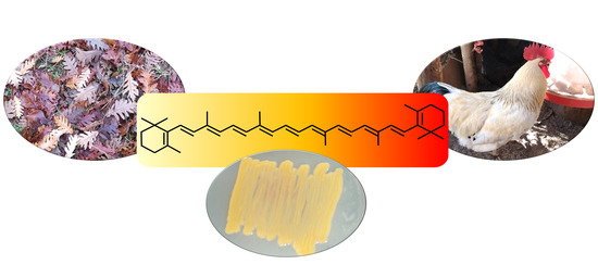 Encyclopedia | Free Full-Text | Main Carotenoids Produced by Microorganisms