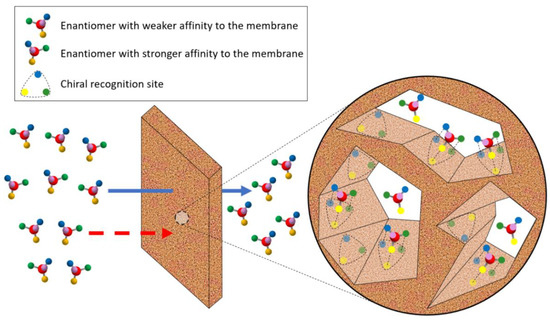 Enantiomers and Their Resolution