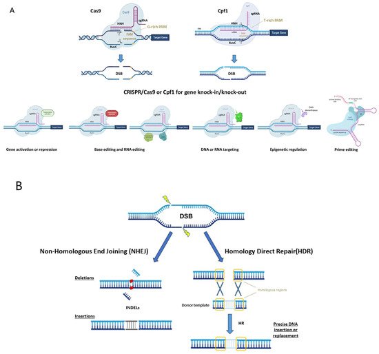 Encyclopedia | An Open Access Journal from MDPI