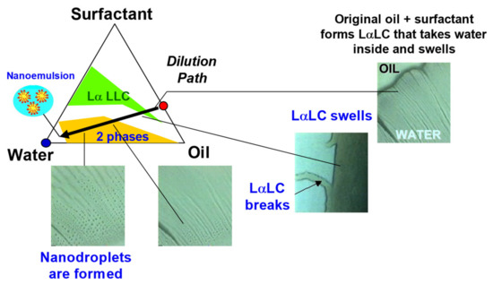 Formulation in Surfactant Systems: From-Winsor-to-HLDN