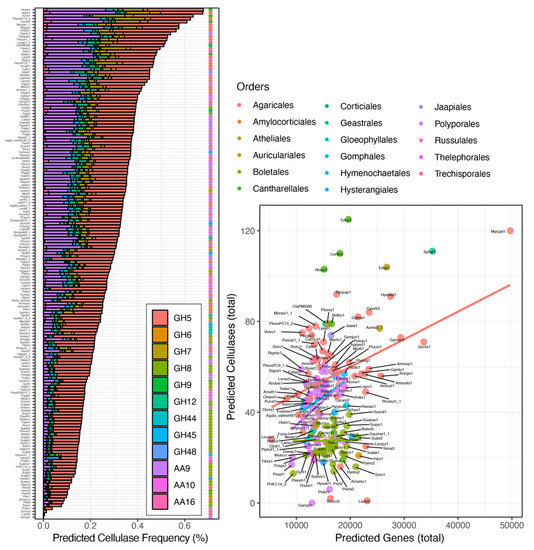 Encyclopedia | An Open Access Journal from MDPI