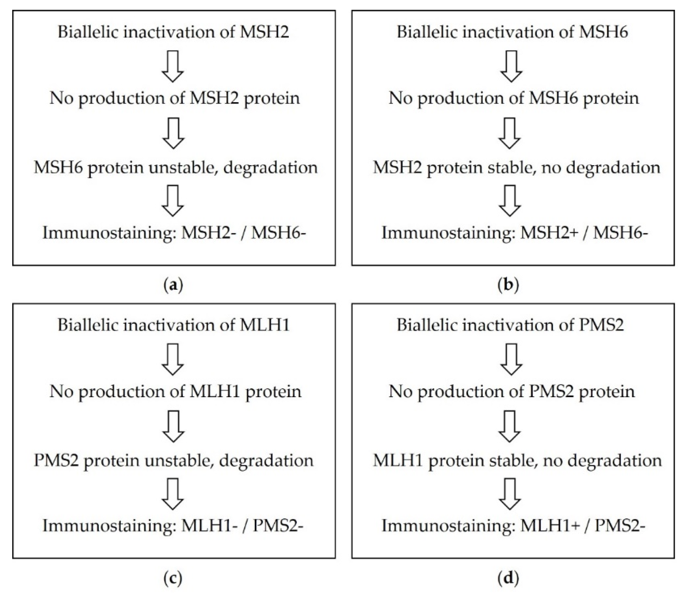 Mismatch Repair Deficiency and Microsatellite Instability