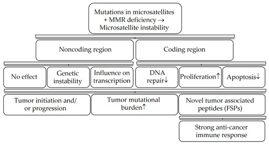 Mismatch Repair Deficiency and Microsatellite Instability
