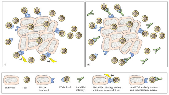 Mismatch Repair Deficiency and Microsatellite Instability