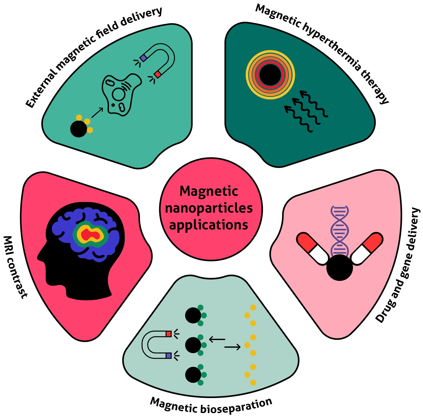 Encyclopedia | Free Full-Text | Magnetite Nanoparticles for Biomedical Applications