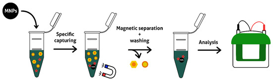 Magnetite Nanoparticles for Biomedical Applications