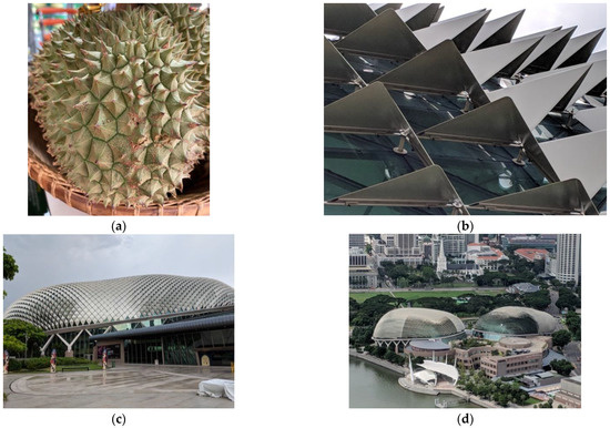 From Bioinspiration to Biomimicry in Architecture: Opportunities and ...