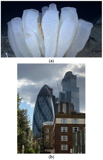 From Bioinspiration to Biomimicry in Architecture: Opportunities and ...