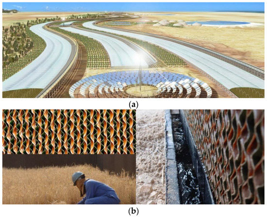 From Bioinspiration to Biomimicry in Architecture: Opportunities and ...
