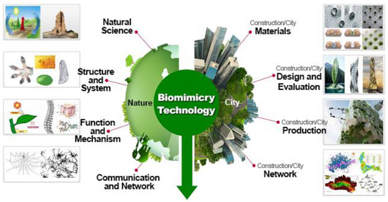 Encyclopedia | Free Full-Text | From Bioinspiration to Biomimicry in ...