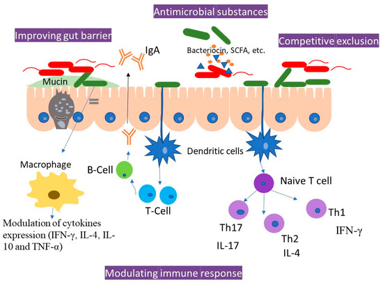 Probiotics as Antibiotic Alternatives for Human and Animal Applications