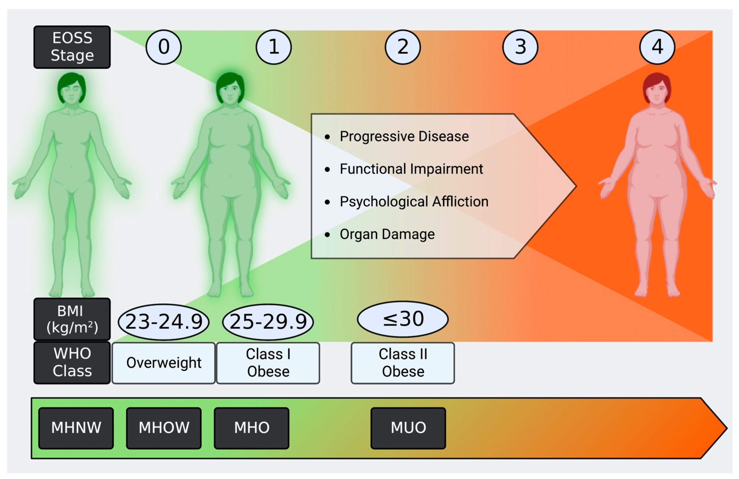 Encyclopedia | Free Full-Text | Obesity vs. Metabolically Healthy Obesity in East Asia