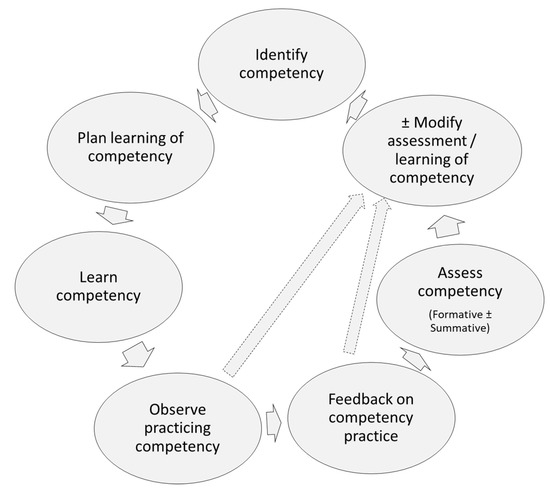 Encyclopedia | Free Full-Text | Use of Effective Feedback in Veterinary ...