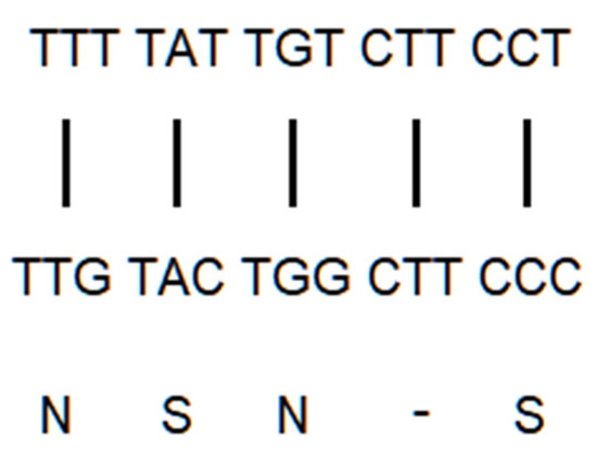 Techniques for Theoretical Prediction of Immunogenic Peptides
