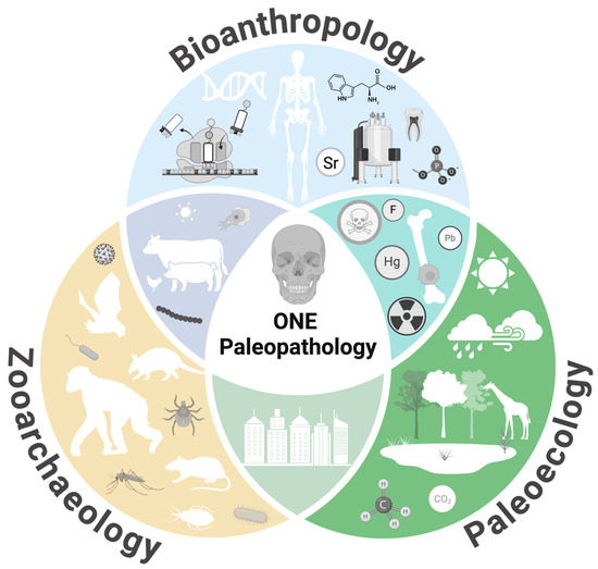From ONE Health to ONE Paleopathology: Deep-Time Perspectives on Health ...
